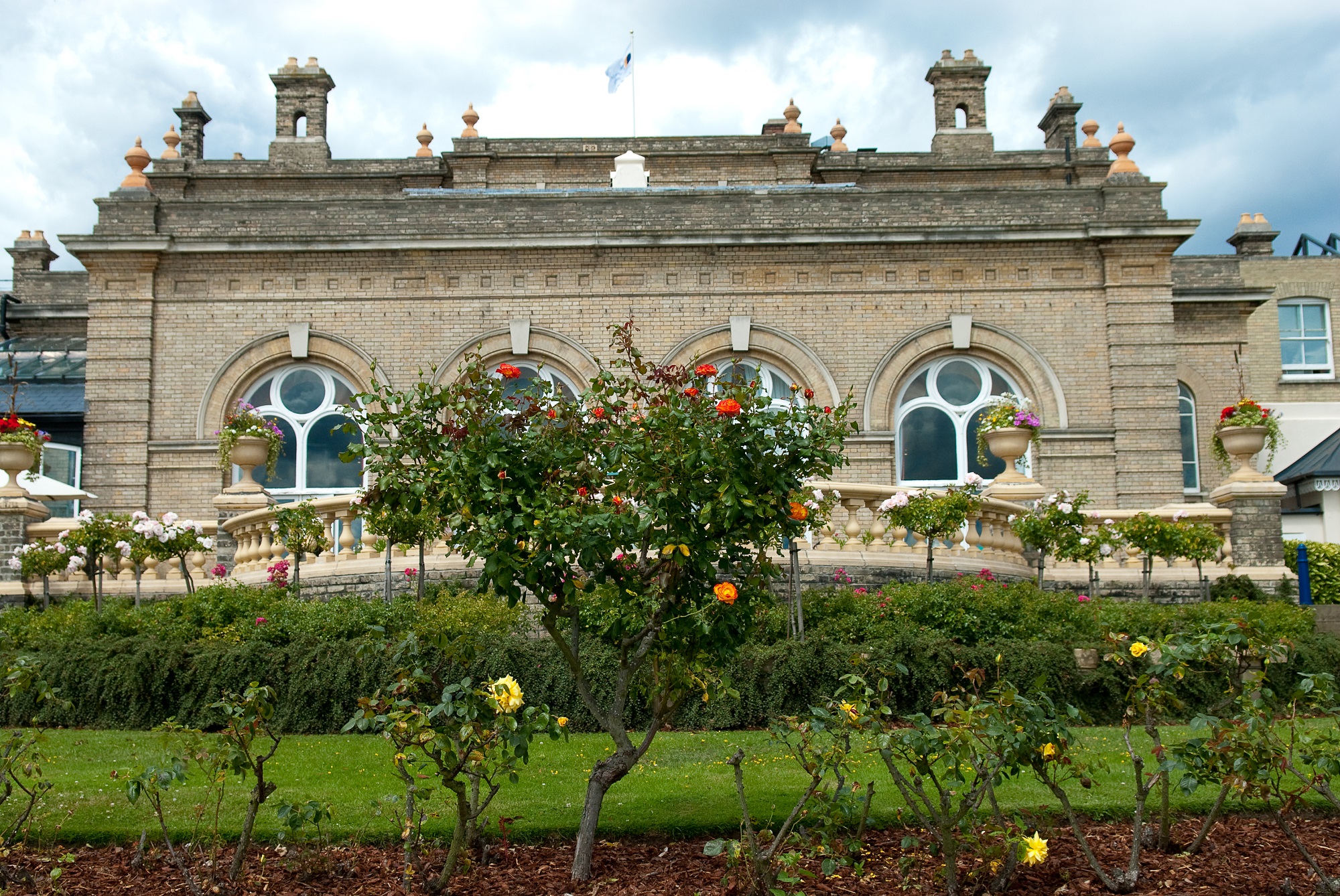 Online resources - Royal Hospital for Neuro-disability