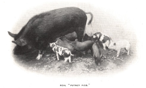 Beside the seaside - Royal Hospital for Neuro-disability