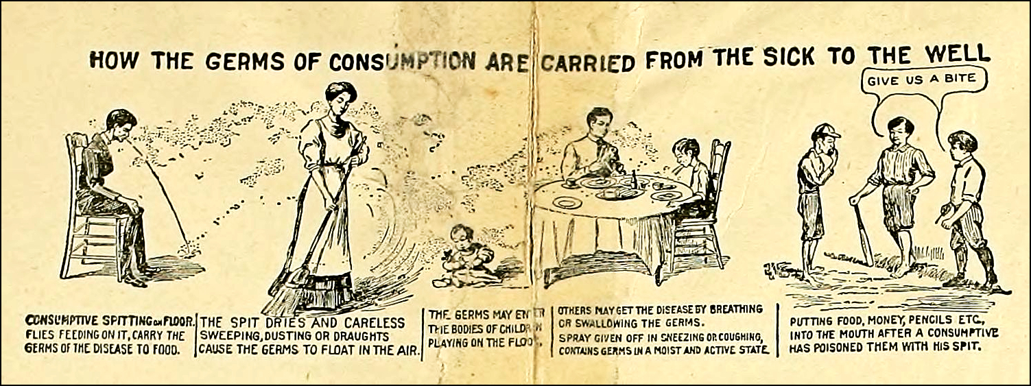 A Cabinet of Curiosities - Royal Hospital for Neuro-disability