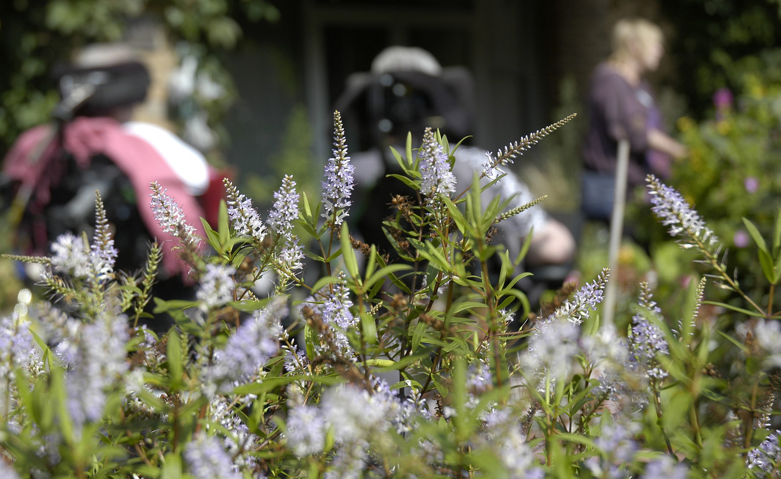 Brain Injury Service - Royal Hospital for Neuro-disability