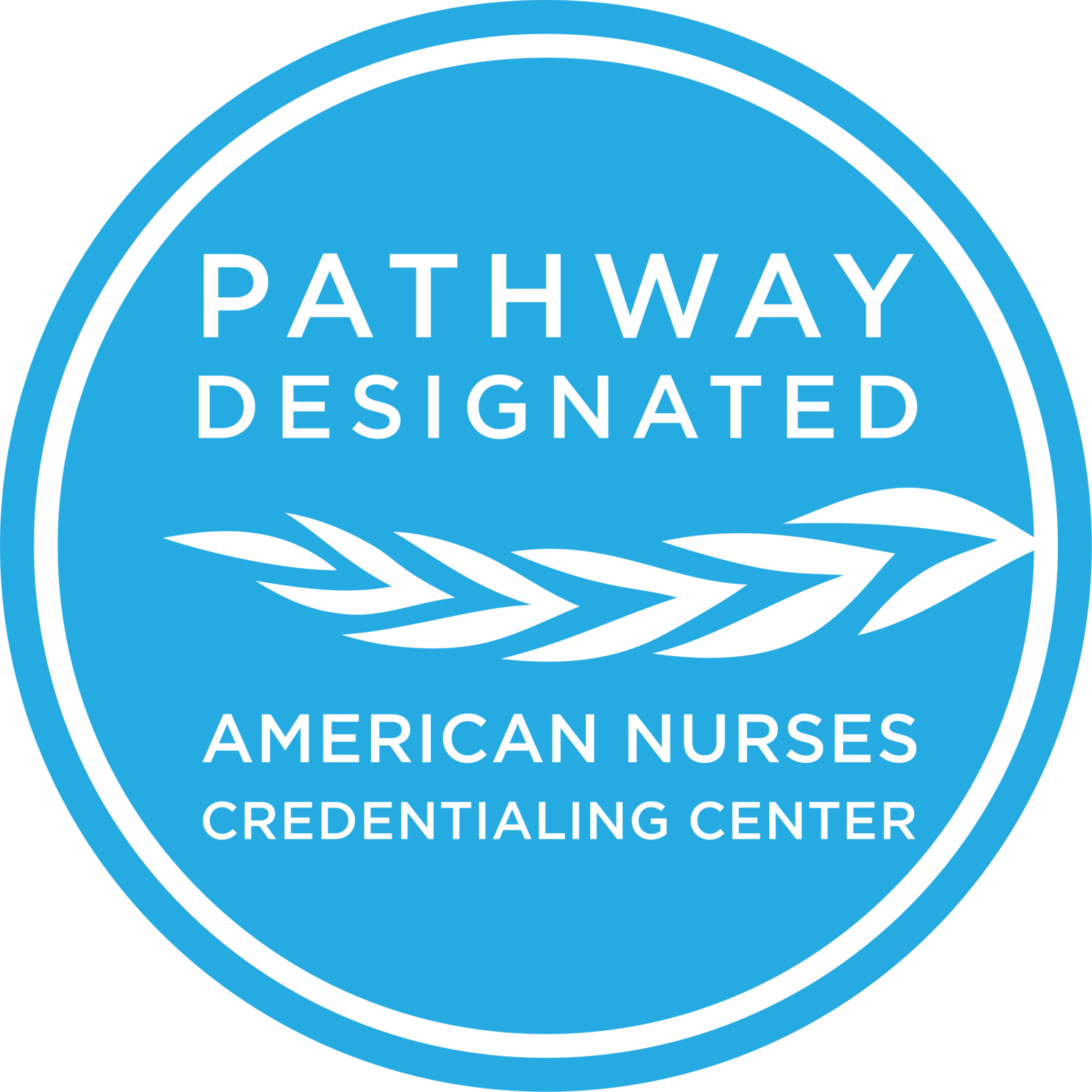 Pathway to Excellence® at RHN recognised by Chief Nursing Officer for ...